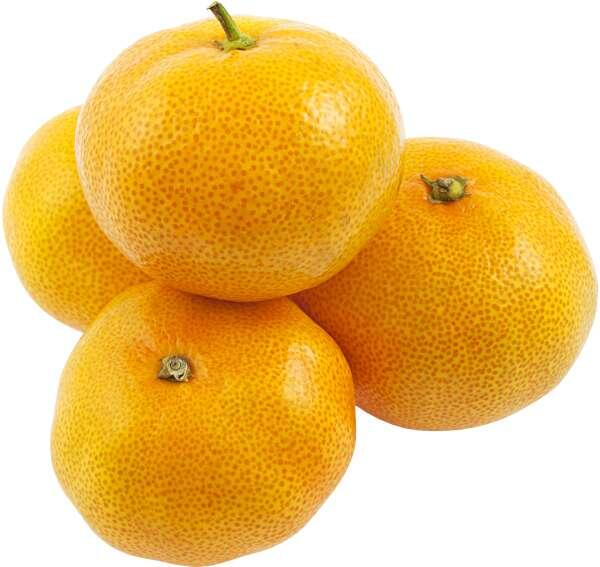 Clementiner I Nät, Klass 1