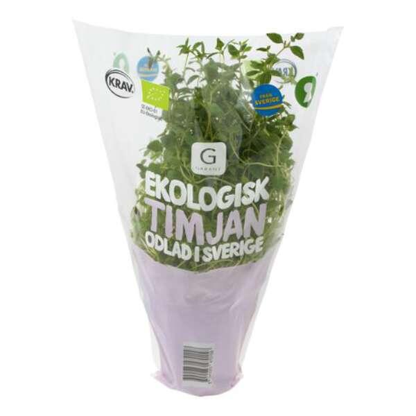 Timjan i Kruka Klass 1 EKO – Allt om Produkten | Food Fighters
